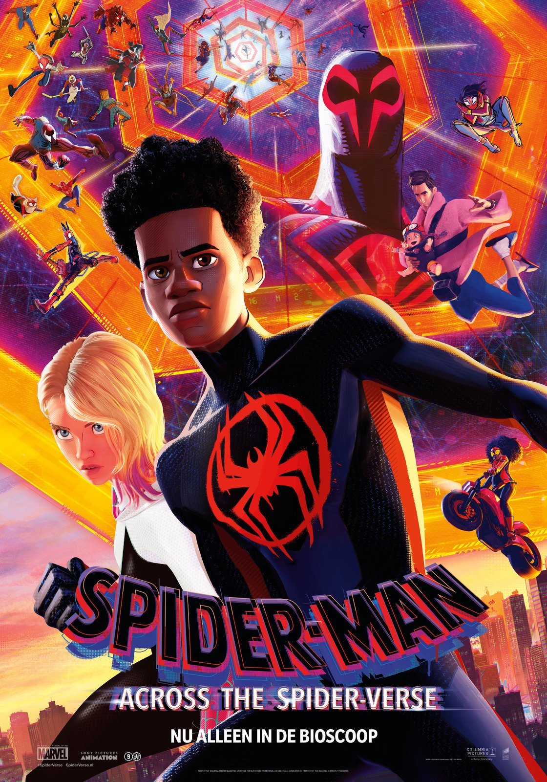 Spider-Man: Across The Spider-Verse (2D NL) - Lab-1